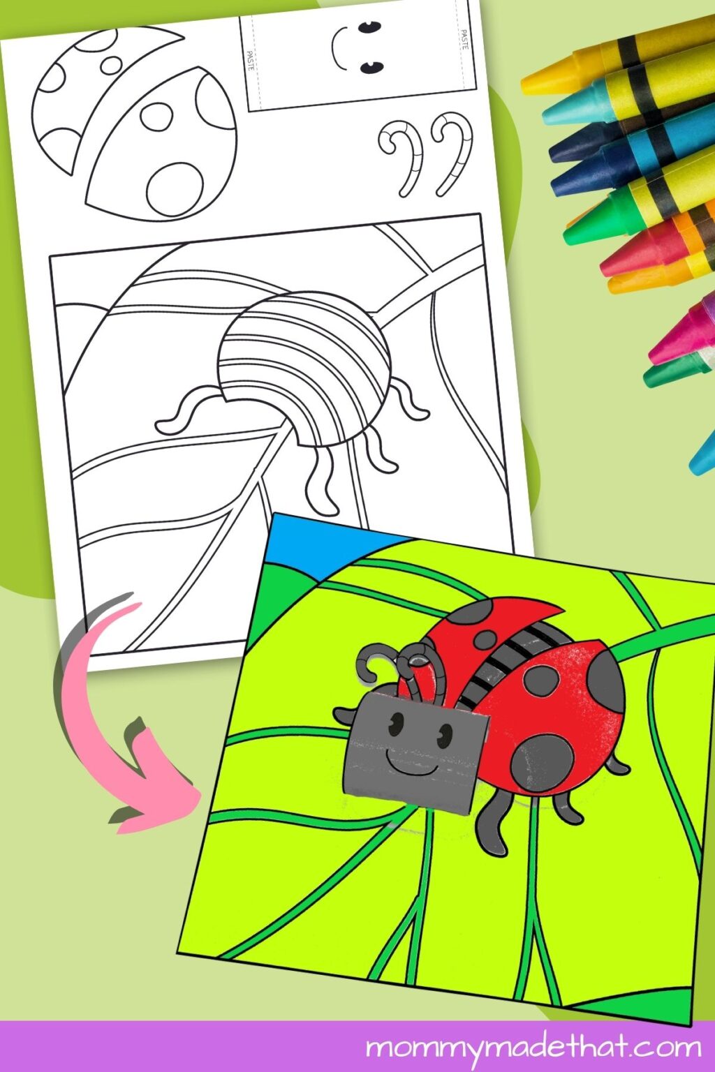 3D Bug Coloring Pages (Free Printables)