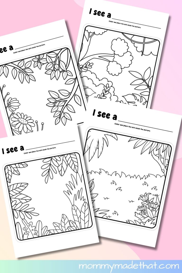 3D Bird Coloring Pages & Their Habitats (Free Printable)