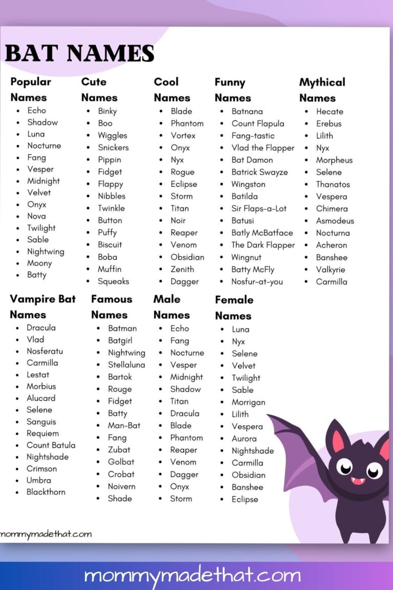 100+ Best Bat Names: Cute, Cool & Spooky Name Ideas