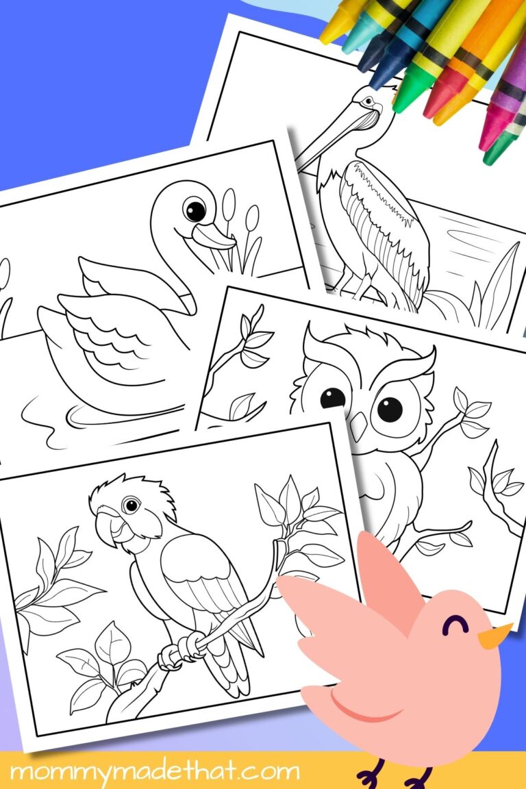 Cute Bird Coloring Pages (Free Printables)