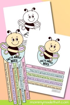 Facts About Bees Craft (Free Printable Worksheet)