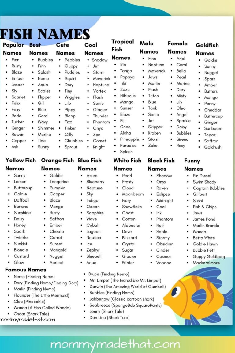 Fish Names: Cute, Funny & Unique Name Ideas