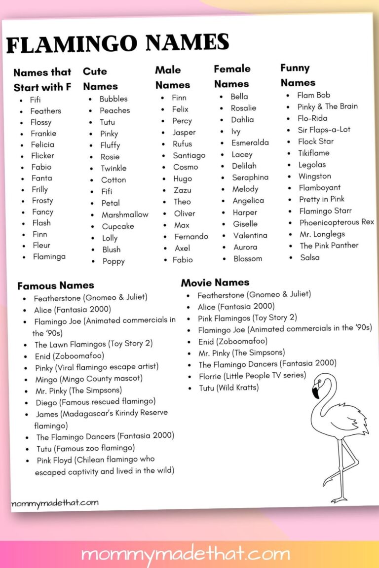 100+ Best Flamingo Names: Cute, Funny & Unique Name Ideas