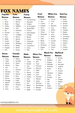 Fox Names: Cute, Cool & Unique Name Ideas