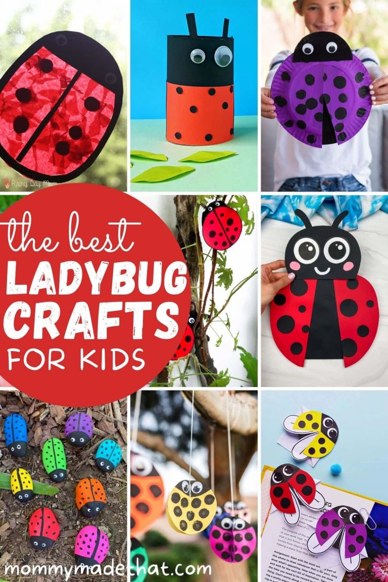 Cutest Ladybug Crafts for Kids of All Ages