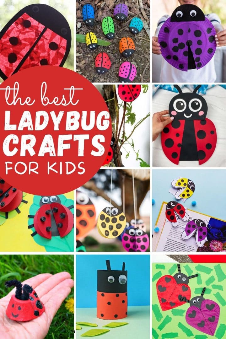 Cutest Ladybug Crafts for Kids of All Ages