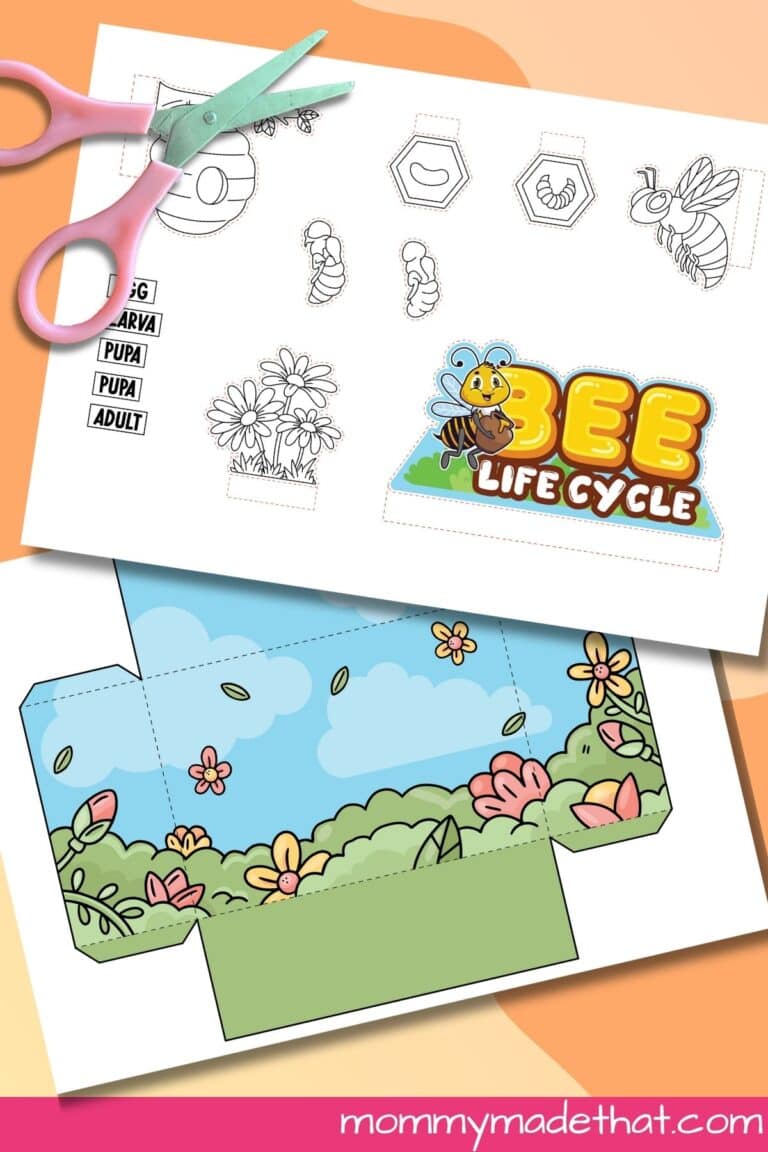 Life Cycle of a Bee Diorama (Free Printable)