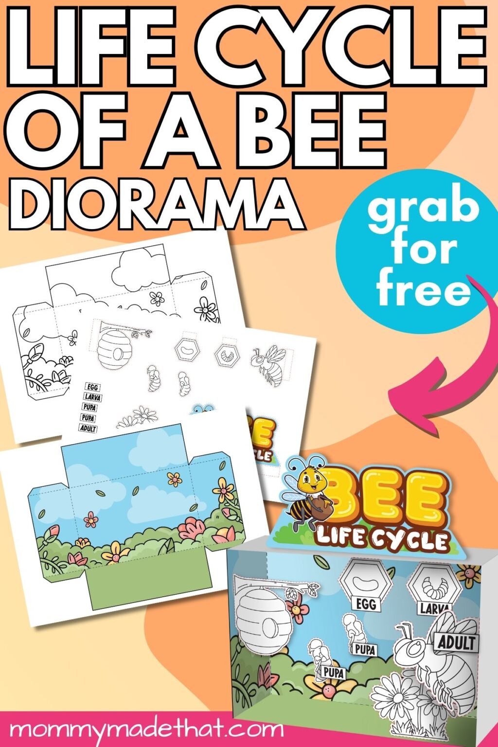 Life Cycle of a Bee Diorama (Free Printable)