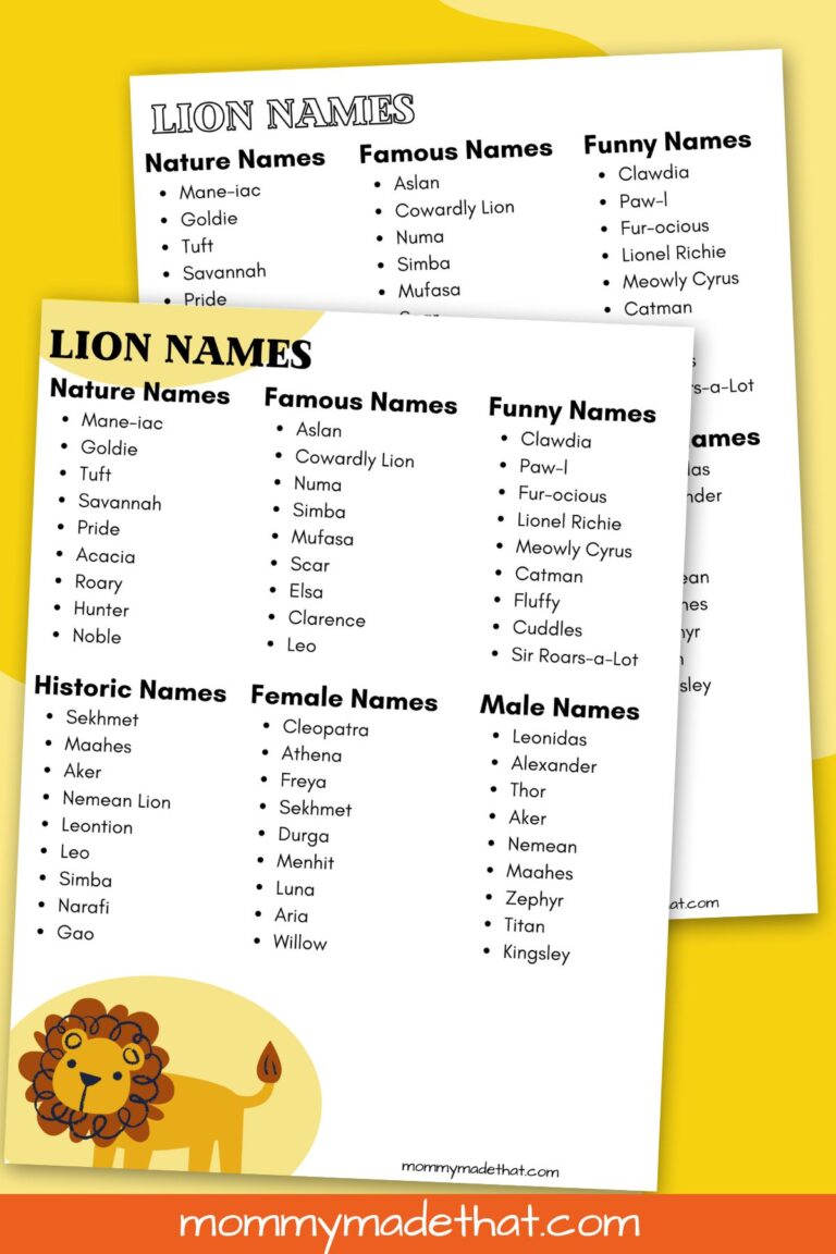 The Best Lion Names & Meanings