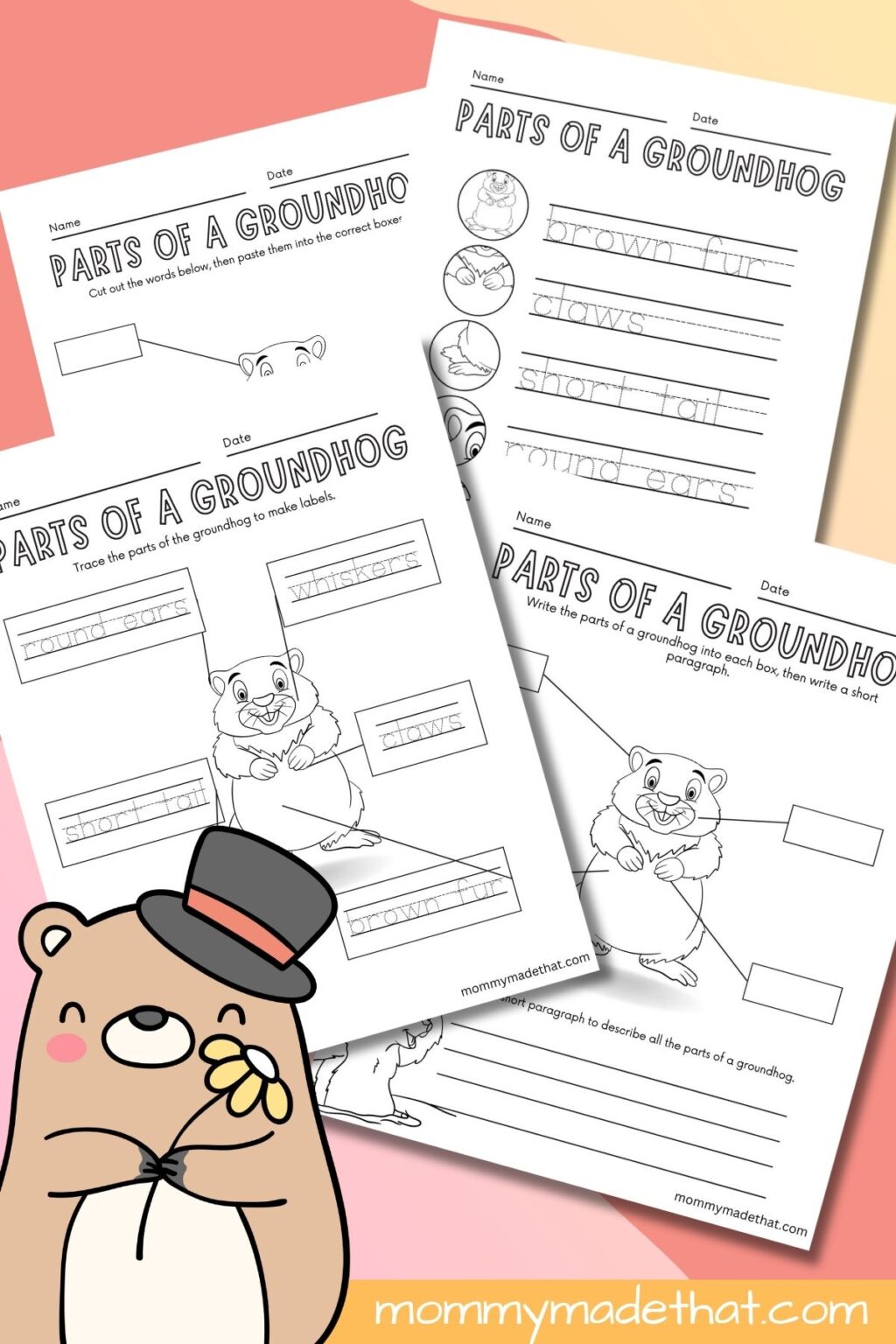 Parts of a Groundhog Worksheets (Free Printables)