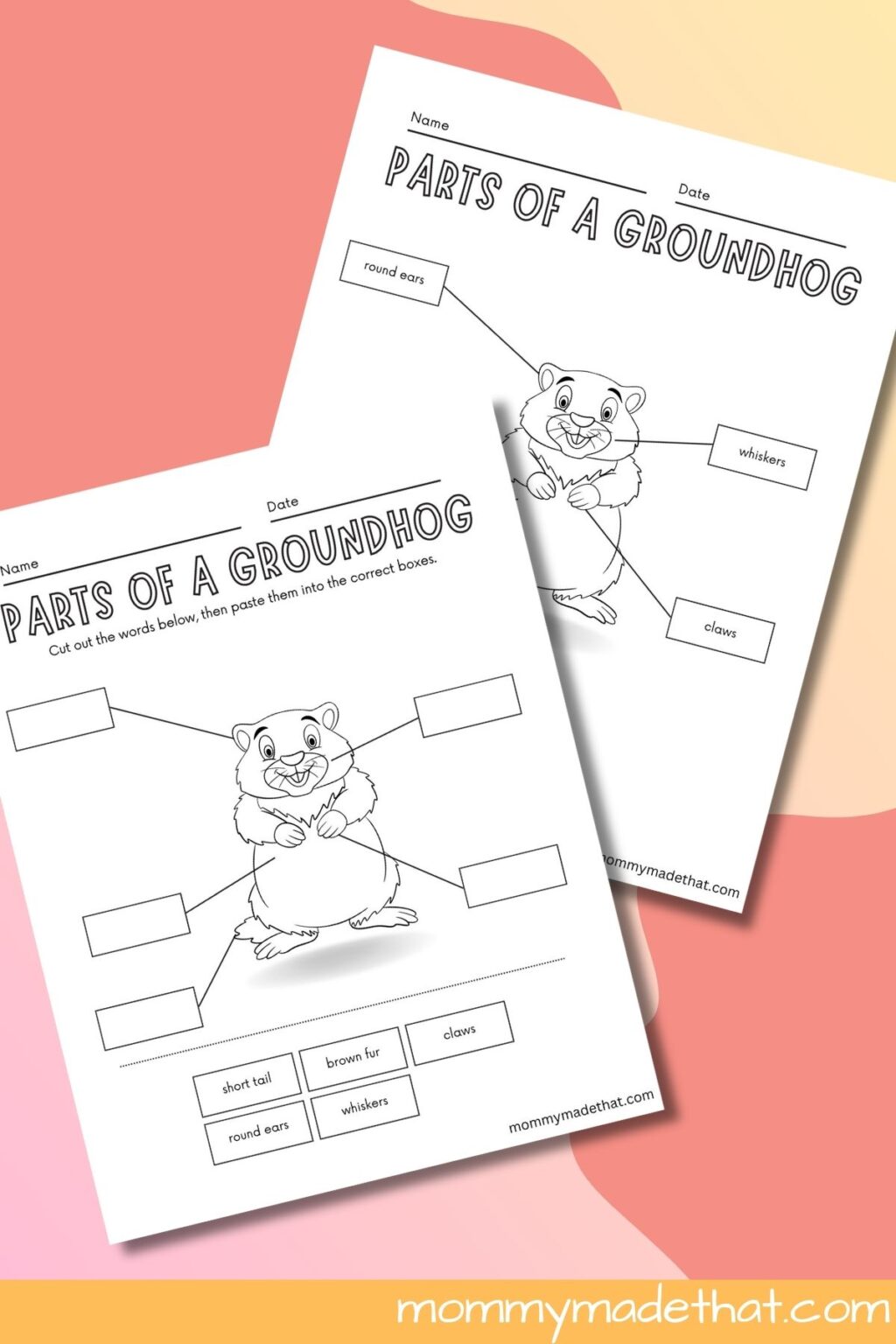 Parts of a Groundhog Worksheets (Free Printables)