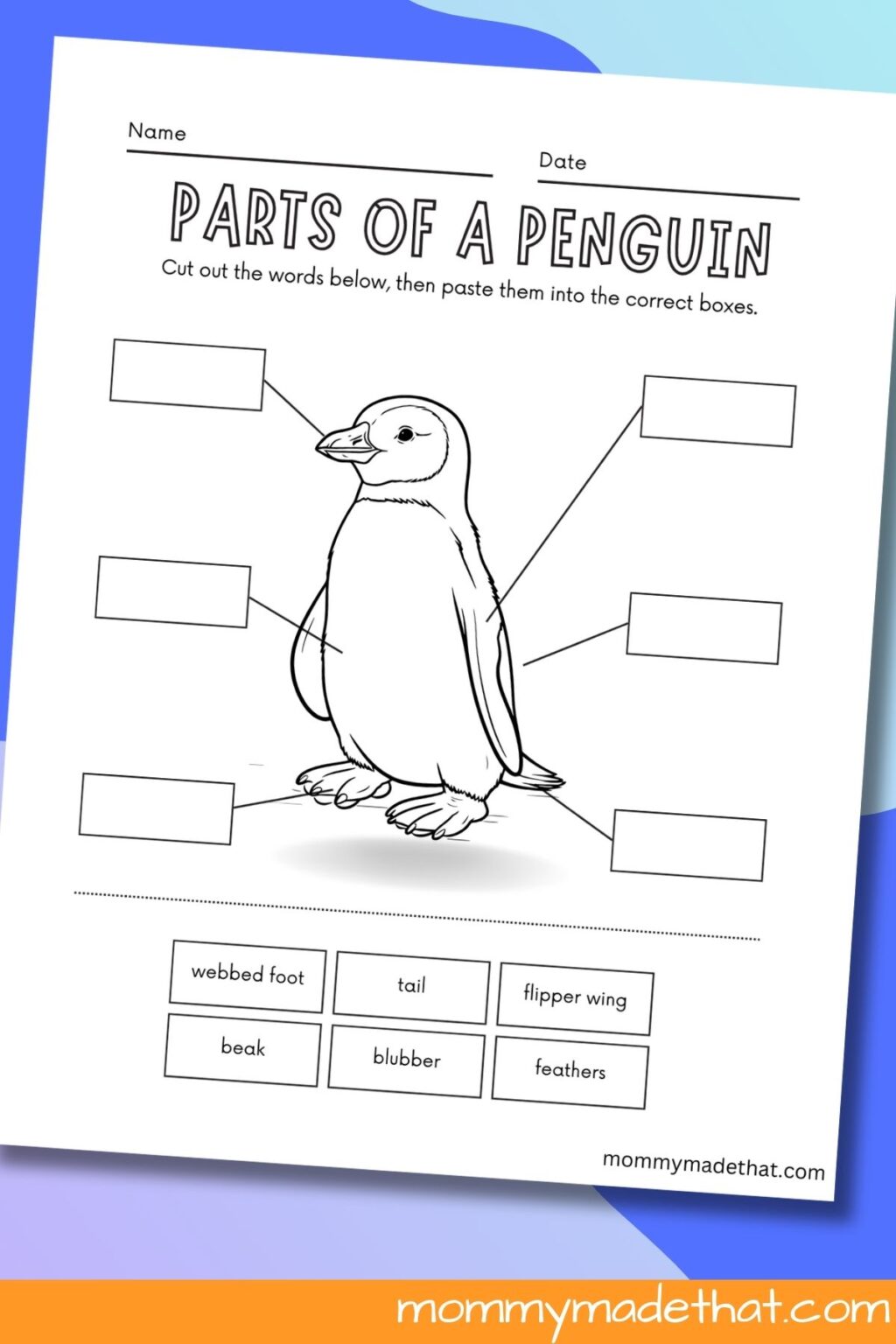 Parts of a Penguin Worksheets