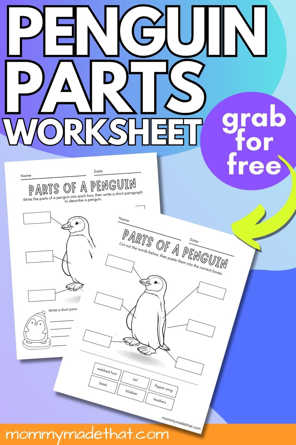Parts of a Penguin Worksheets